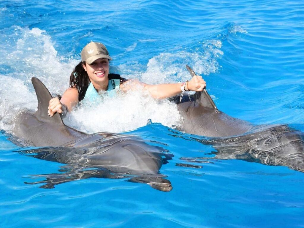 Disfruta de nadar con delfines en Punta Cana – ¡4 sitios que no debes ...
